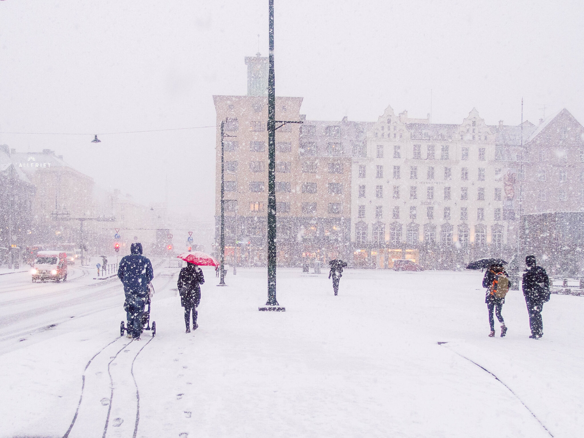 Grasrotbilder 2020 - Ladegården sykehjem - Bekkalokket Fotoklubb